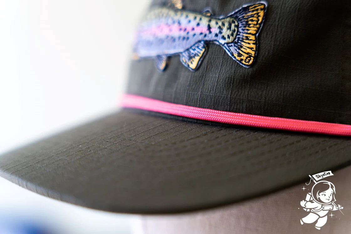 Sample Blog Post– SkyeCap Inc.